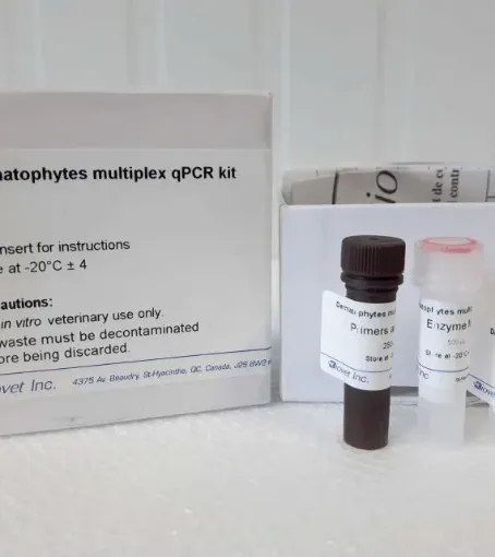 REAL TIME PCR DETECTION TEST KIT Dermatophytes multiplex - Microsporum ...